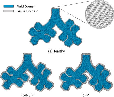 Cross Section And Open Boundary Surface Of Computational Meshes For Download Scientific Diagram
