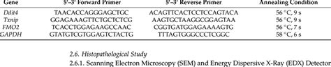 Primers And Annealing Conditions Used For Real Time Pcr Download