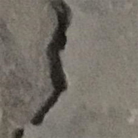 Wall Cracks Object Detection Model V1 2024 02 29 11 50am By Object