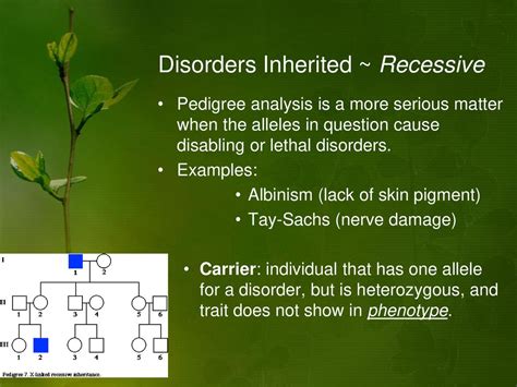 Mendelian Genetics Ppt Download