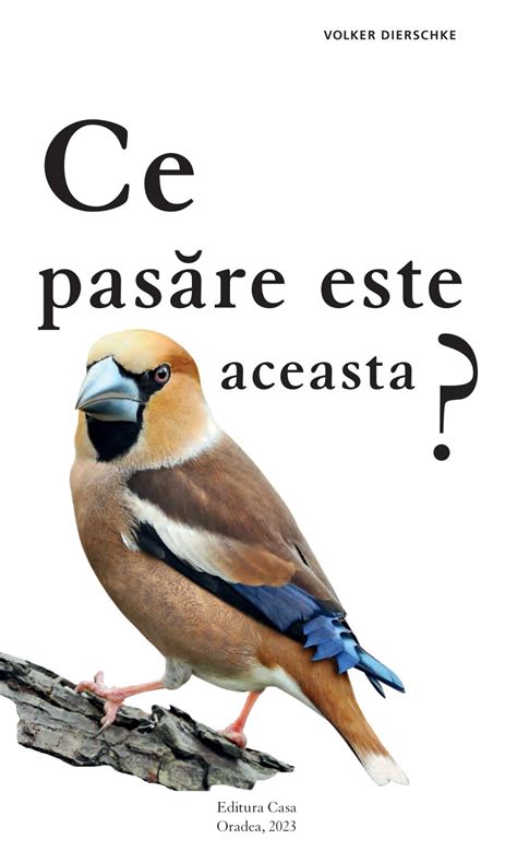 Ce Pasare Este Aceasta Simona Weiss