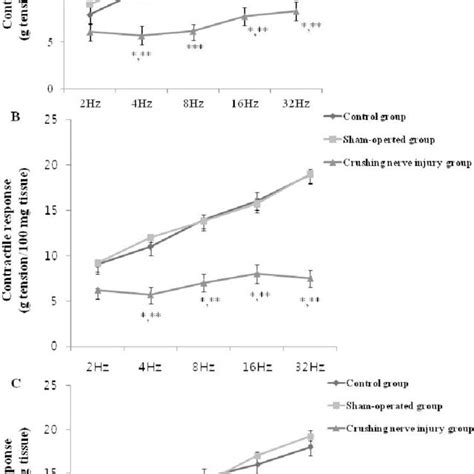 Contractile Response To Electrical Field Stimulation In The Control