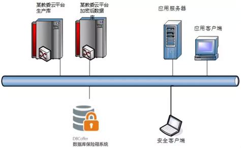 案例丨教育行业MySQL数据库加密安全实践