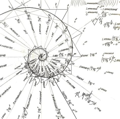 Convergence Of The Logarithmic Base Value Of Euler
