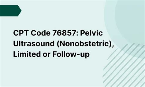 Cpt Code 76857 Pelvic Ultrasound Nonobstetric Limited Or Follow Up