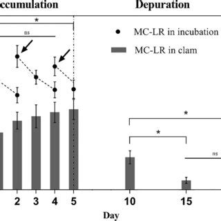 Concentrations Of Microcystin Lr Mc Lr In Incubation Water And Of Download Scientific Diagram