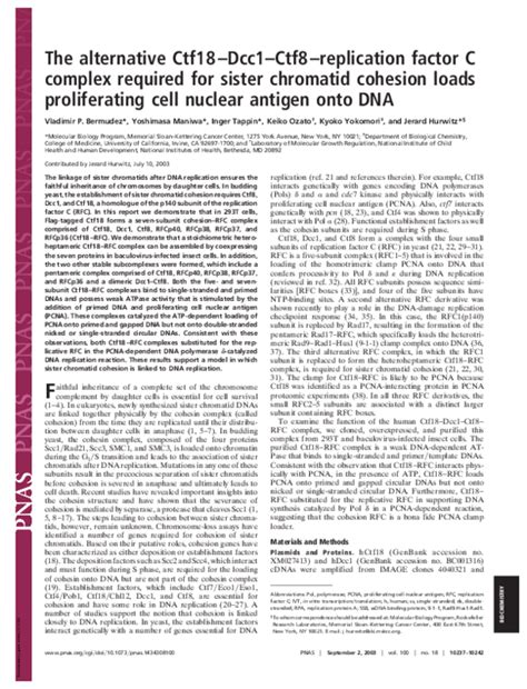 Pdf The Alternative Ctf18 Dcc1 Ctf8 Replication Factor C Complex