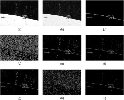 Performance Of Edge Detectors On Noisy Image 167062 Along With Their Download Scientific