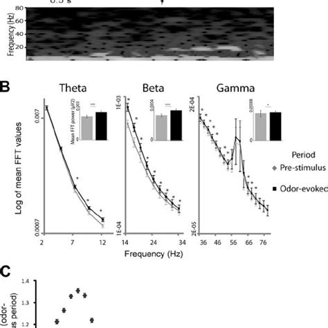 odor evoked local field potentials lfps in the mdt a top raw lfp