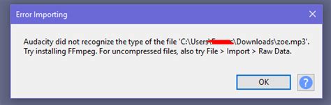 Audacity Did Not Recognize The Type Of File Windows Audacity Forum