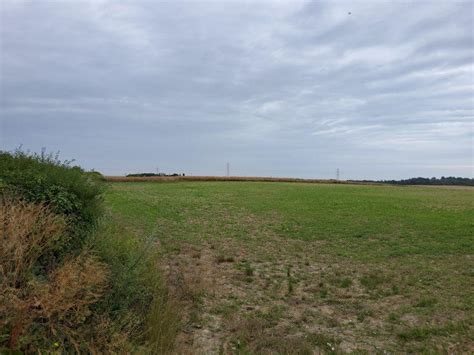 Pathfinder Clean Energy Submits Into Planning Elvington Solar A 49mw Solar Farm Co Located