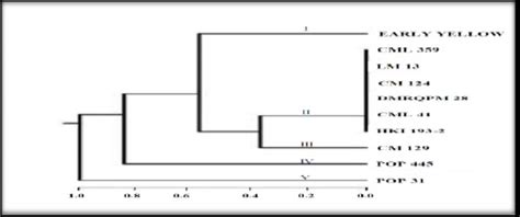 Dendogram Showing Clustering Of 10 Maize Inbreds Using Upgma Based On