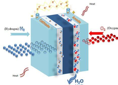 Schematic Of PEM Fuel Cell Operation Download Scientific Diagram