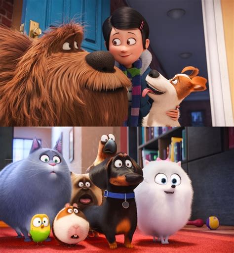 마이펫의 이중생활 사랑할 수 밖에 없는 이 녀석들