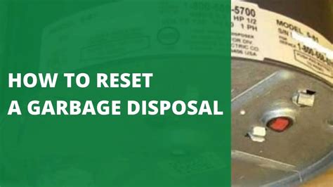 How To Reset A Garbage Disposal