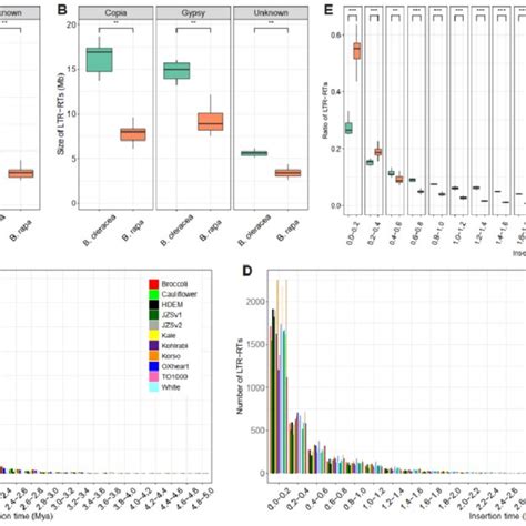 Evolutionary Dynamics Of Full Length Ltr Rts In B Oleracea And B
