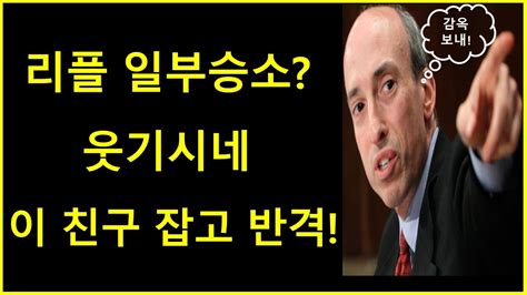 최근 하락이유 저 놈을 잡아넣어라 Sec의 반격 리플 헥스 Sec 에코프로 도지 바이낸스 Sec 비트코인 이더리움 재테크