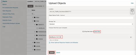 Set Up Identity Orchestration Between Oracle Access Governance And A