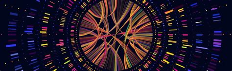 Data Validation Key Techniques And Best Practices