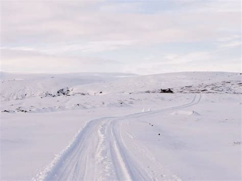 Зудын үнэлгээгээр бага болон дунд эрсдэлтэй нутгийн хэмжээ нэмэгджээ