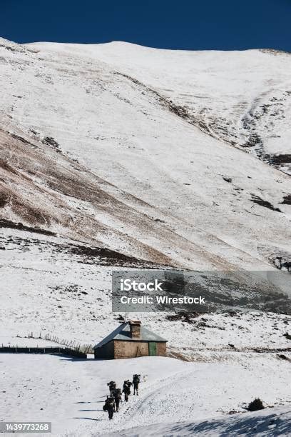 눈 덮인 산의 작은 오두막에 접근하는 등산객의 수직 하이 앵글 샷 가까이 옴에 대한 스톡 사진 및 기타 이미지 가까이 옴 겨울 경관 Istock