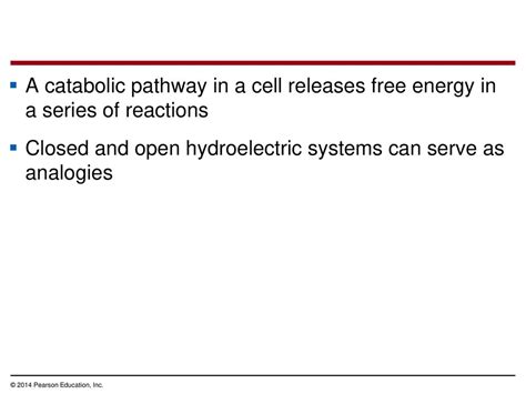 An Introduction To Metabolism Ppt Download