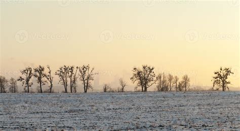 Tree Line Stock Photos Images And Backgrounds For Free Download