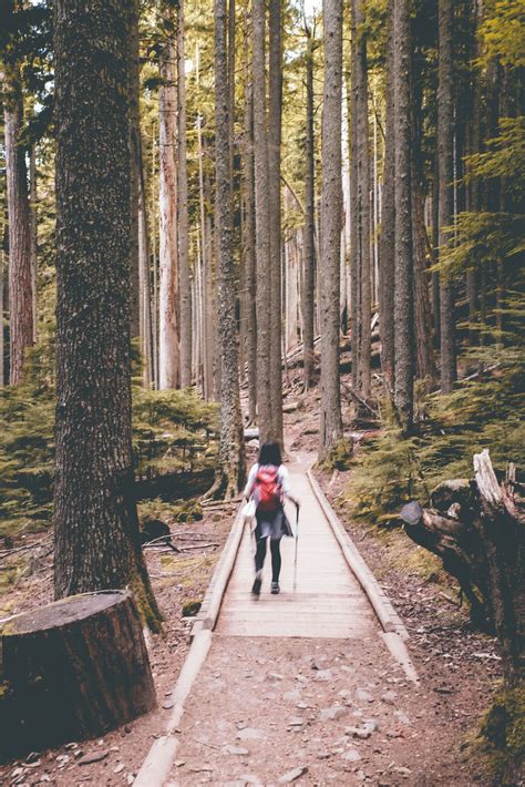 Mount Si And The Haystack Alice In Pnwonderland