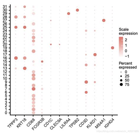 R 语言 Dotplot 画基因表达量图dotplot Rotatedaxis Csdn博客