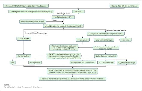 Figure 1 From A Novel Mitochondria Related Algorithm For Predicting The Survival Outcomes And