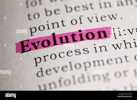 fake dictionary dictionary definition of the word evolution stock