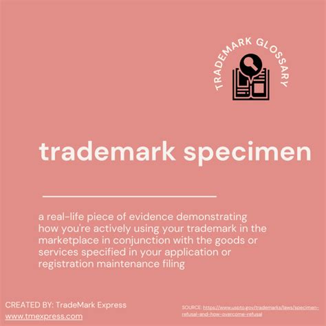 Class 25 Trademark Registration Clothing Footwear And Headwear Guide