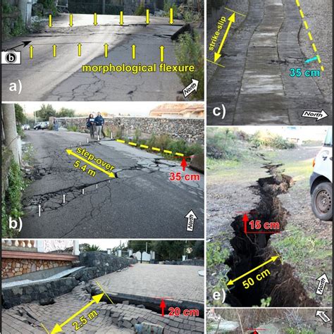 A Rose Diagrams Showing The Orientation Of Coseismic Surface Rupture Download Scientific