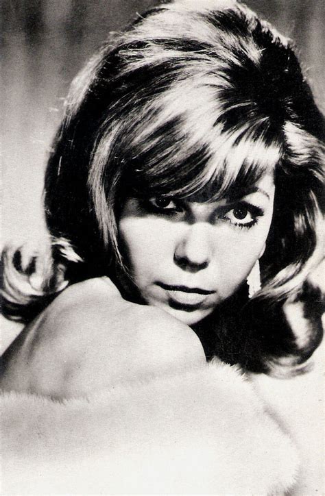 Nancy Sinatra A Photo On Flickriver