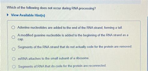 Solved Which Of The Following Does Not Occur During RNA Chegg