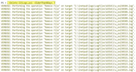 How To Clear IIS Logs On Windows Server To TheITBros