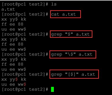 linux 中 grep命令检测出 符号 小鲨鱼 博客园