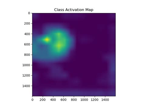 Interpretable Ai Cam Flying Whales