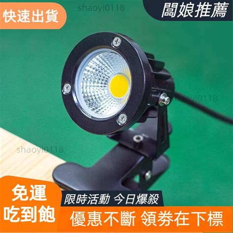 【老闆推薦}戶外 1 件 10w Cob Led 夾燈 Ip65 防水可調節桌面支架 Cob 聚光燈 帶夾子和美國插頭 蝦皮購物