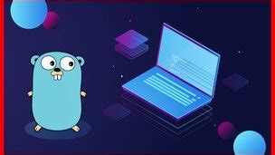 Online Course Curso Completo De Go Golang Desde A Proyectos Reales From Udemy Class Central