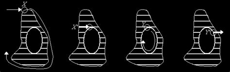 The Four Steps Of Contour Tracing 1 To 4 Each Line Represents The Download Scientific Diagram