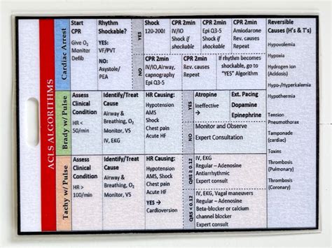 Badge Buddy Acls Etsy