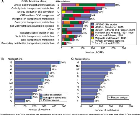 Figure 2 From A Genome Scale Metabolic Reconstruction For Escherichia