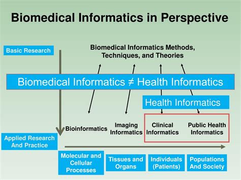 Ppt What Is “biomedical Informatics” Powerpoint Presentation Free Download Id 3790233