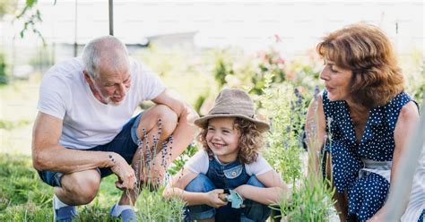뒤뜰 정원에서 정원을 가꾸는 노인 조부모와 손녀 남자 여자 그리고 작은 소녀가 일하고 있습니다 사진 Unsplash의 가족 이미지