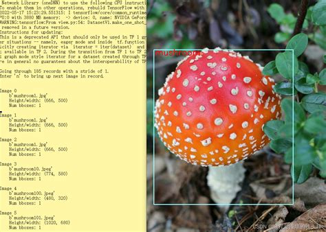 Tensorflow Tfrecord数据集格式可视化tfrecord 数据可视化 Csdn博客