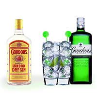 Difference Between Vodka And Gin Vodka Vs Gin