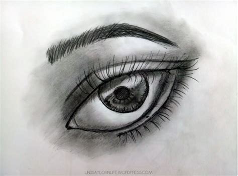 Lindsays Life Update Udemy Ultimate Drawing Course Beginner To Advanced Progress Report