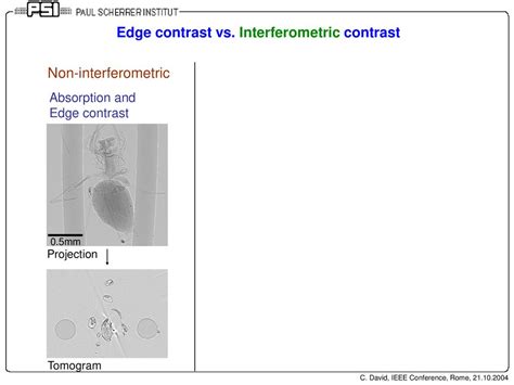C David Ieee Conference Rome Ppt Download