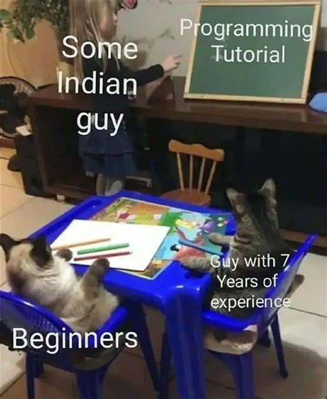 coding paradox